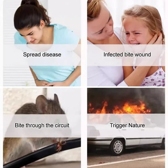 Rodent And Insect Repellent Sphere - Cowaudio